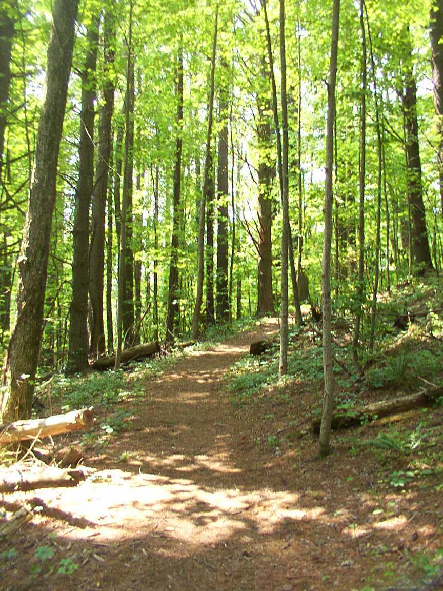 Olympus Campground Resort – A safe space for LGBTQ folks, Pagans, and ...